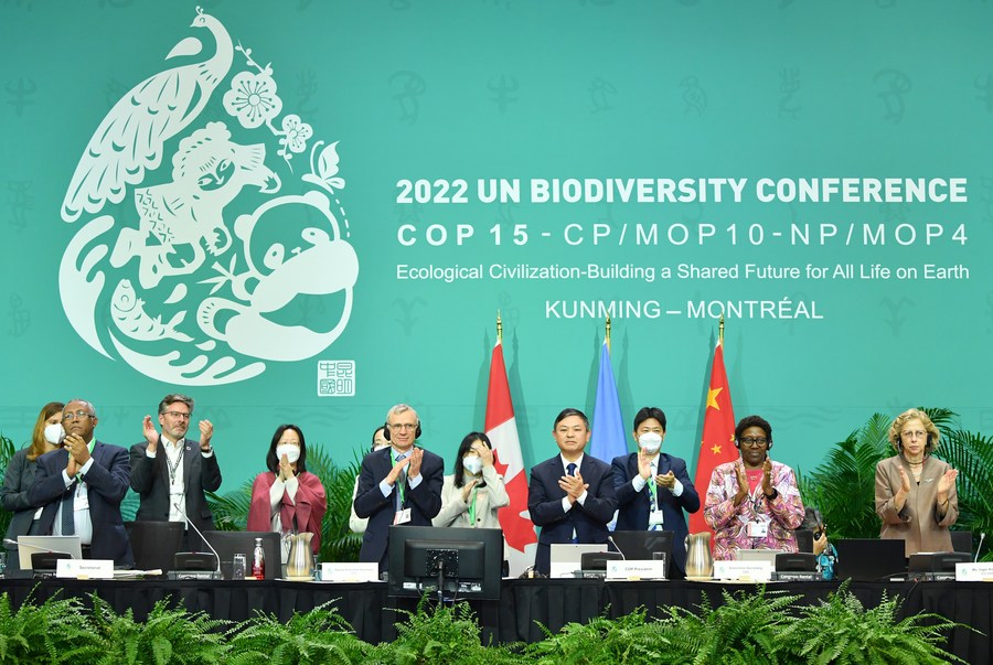 Landmark deal sets world on path of reversing biodiversity loss_中安新闻_中安新闻客户端_中安在线