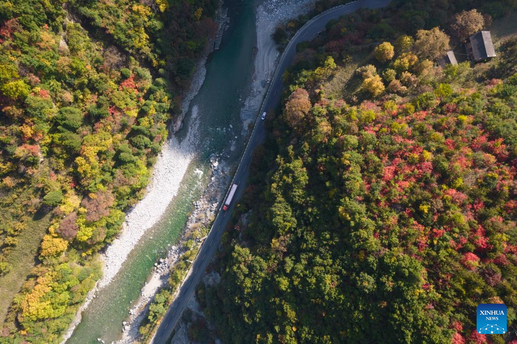 Autumn scenery of Qinling Mountains in NW China's Shaanxi_中安新闻_中安新闻客户端_中安在线