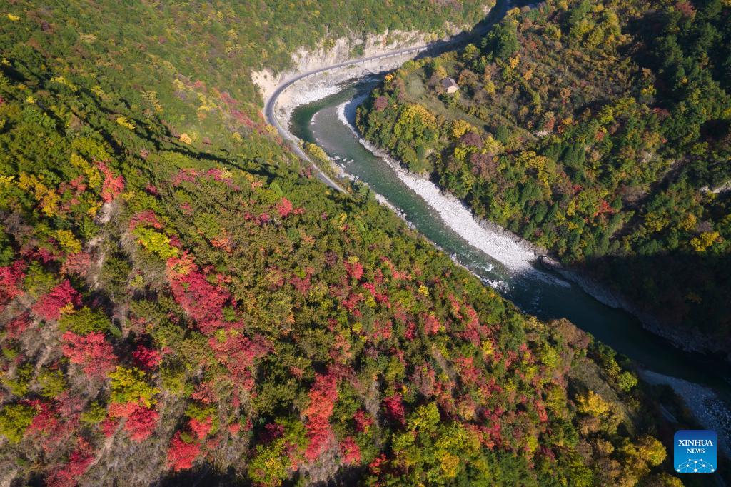 Autumn scenery of Qinling Mountains in NW China's Shaanxi_中安新闻_中安新闻客户端_中安在线