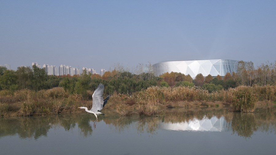 Hefei, an eco-city in East China_中安新闻_中安新闻客户端_中安在线